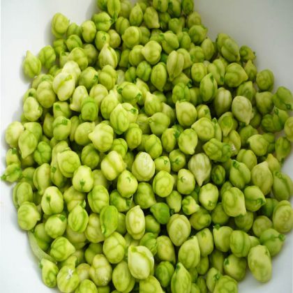 GREEN CHANA POPTA INDIA – Bombay Spices