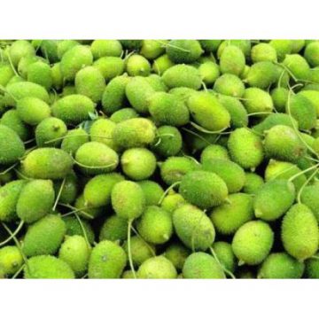 KANTOLA – Bombay Spices